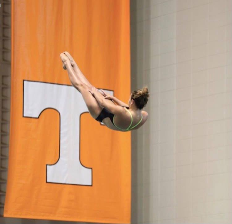 Greenwich diver Annie Bingle earns NISCA All-America accolades ...