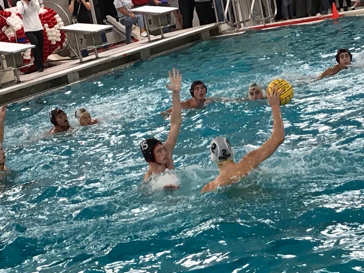 Brunswick, Greenwich athletes earn NISCA Water Polo All-America ...