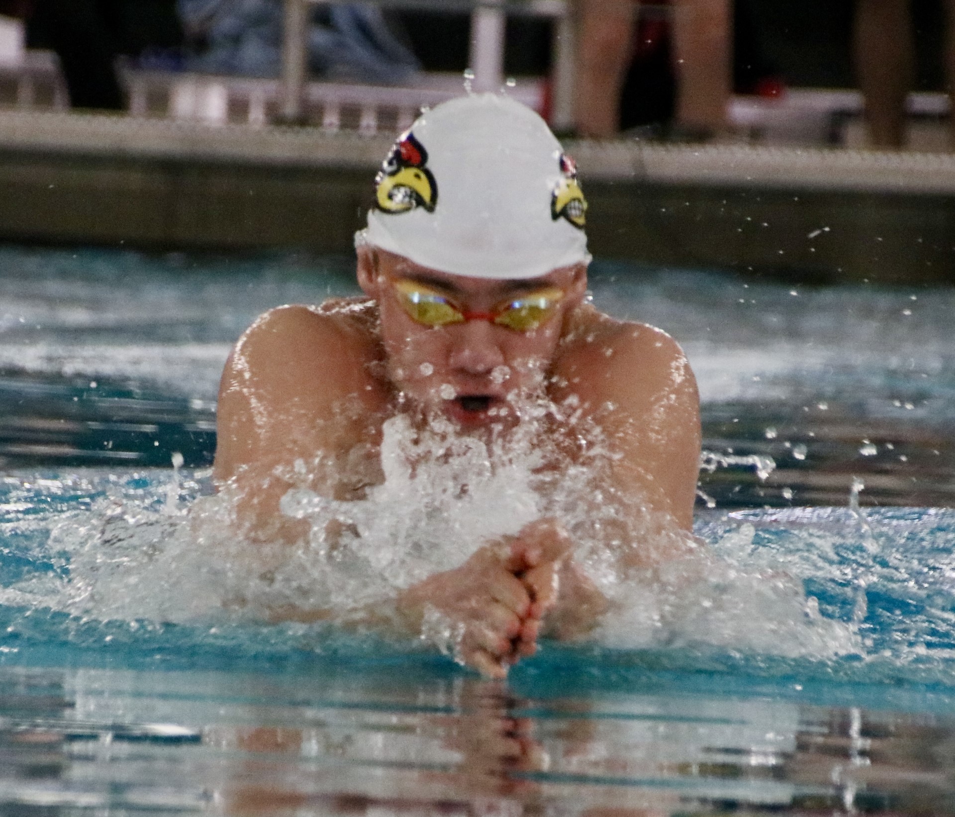 Greenwich High School boys swimming/diving team tops rival Fairfield ...