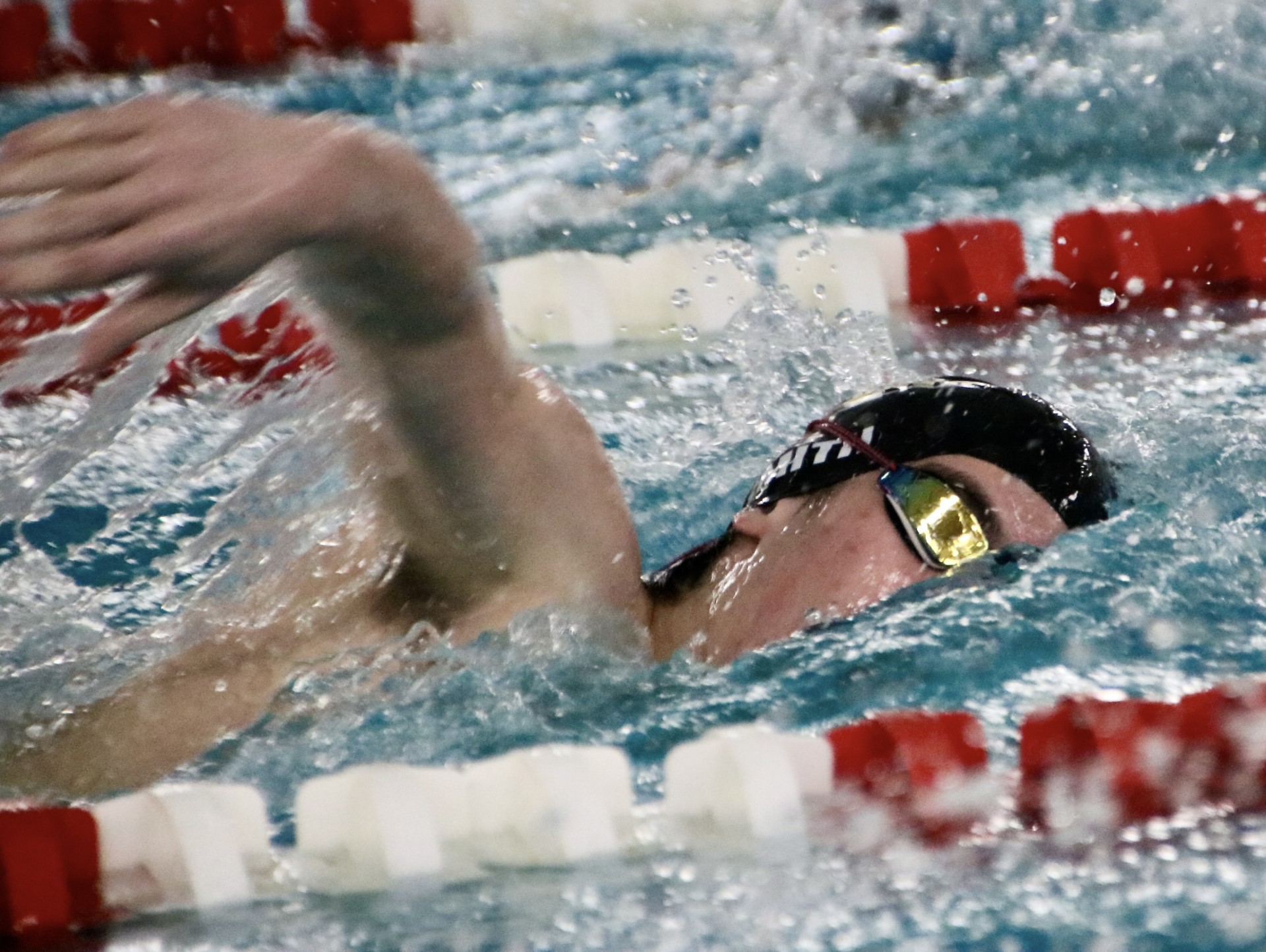 Champions again: Greenwich High School boys swimming team wins FCIAC ...