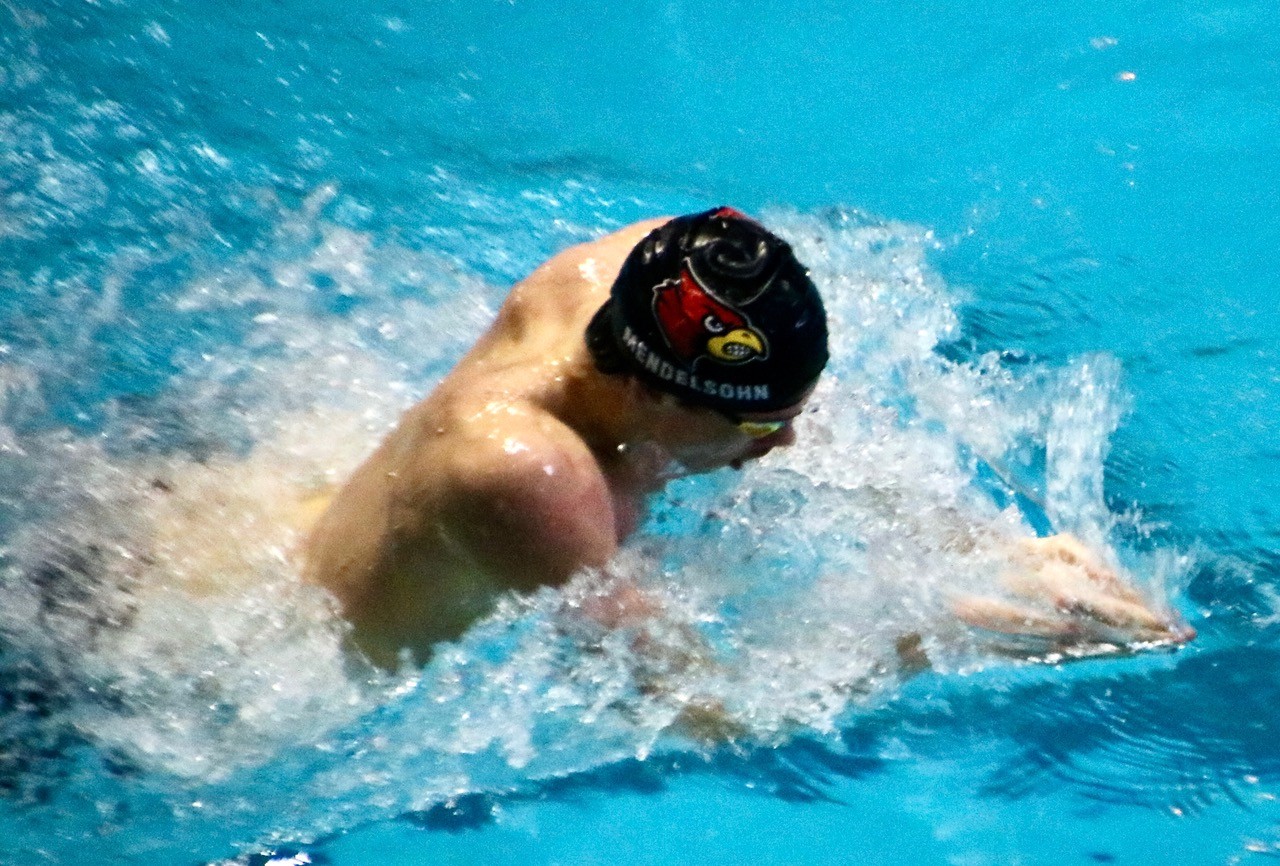 Greenwich High boys swimming team captures team title at the State Open ...