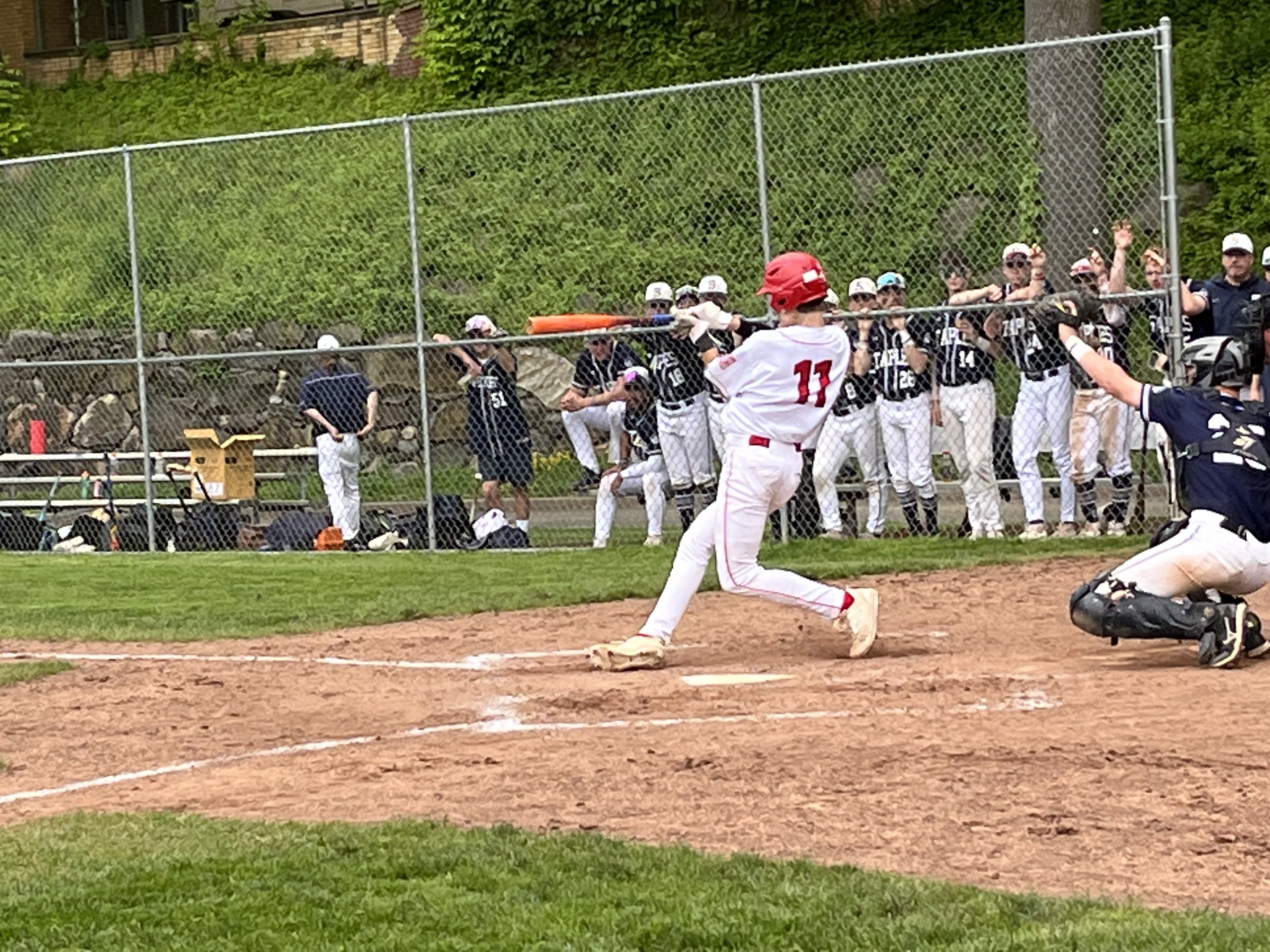 Cardinals baseball team getting set to play in Class LL state ...