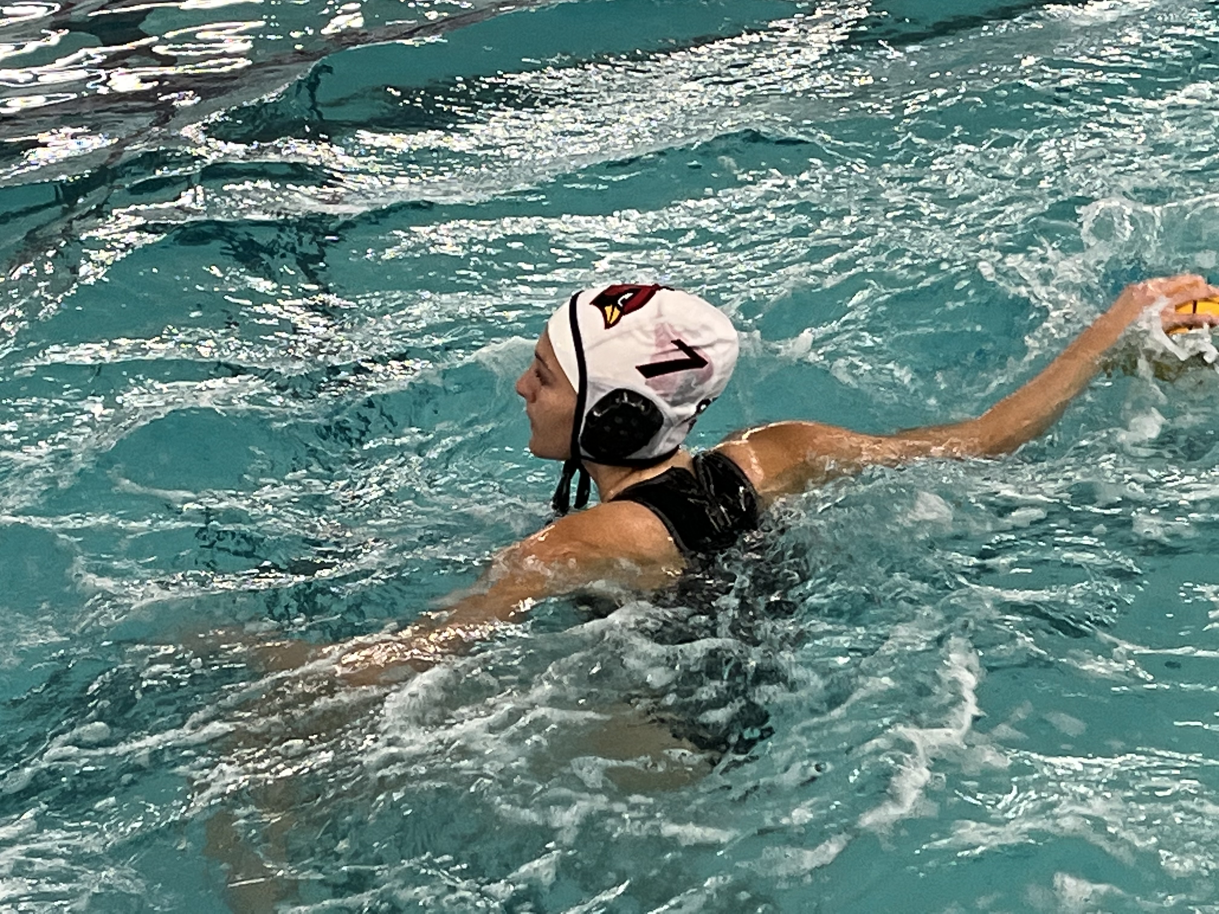 Cardinals girls water polo team completes another undefeated season ...